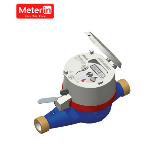 Water Meter Itron Multimag