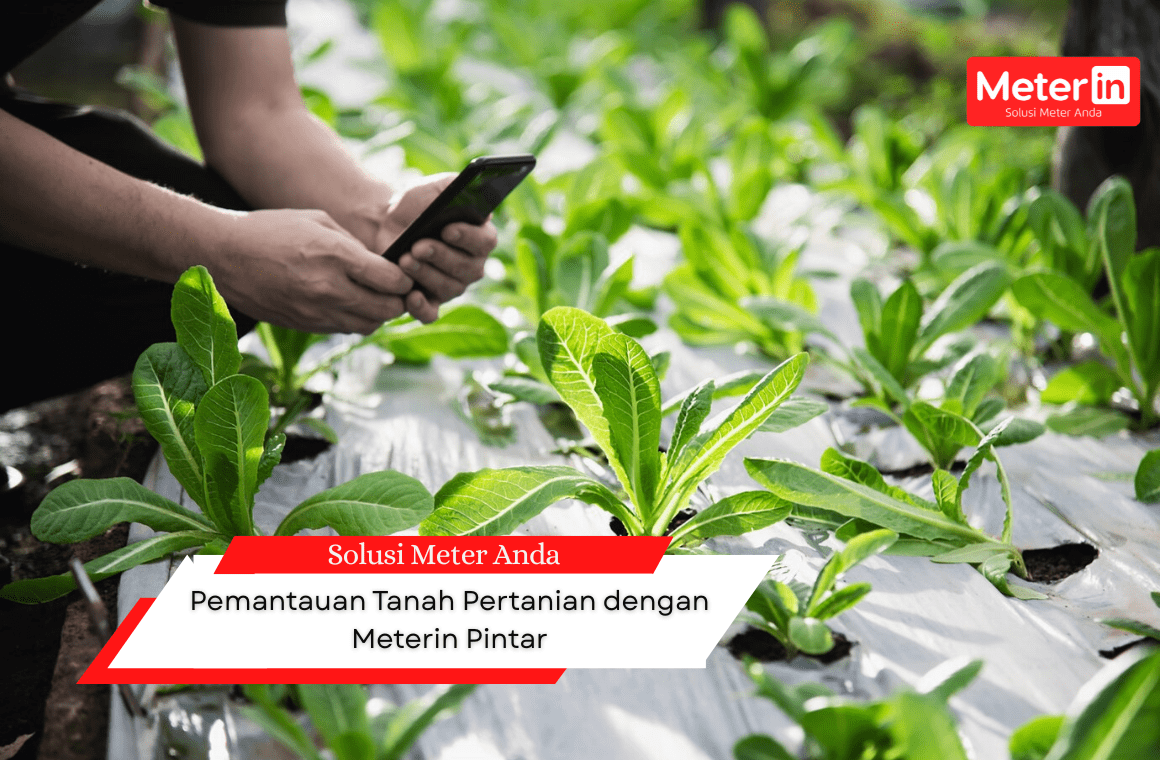 Pemantauan Tanah Pertanian dengan Meterin Pintar - Meterin