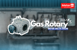 Gas Rotary Meter Delta Itron